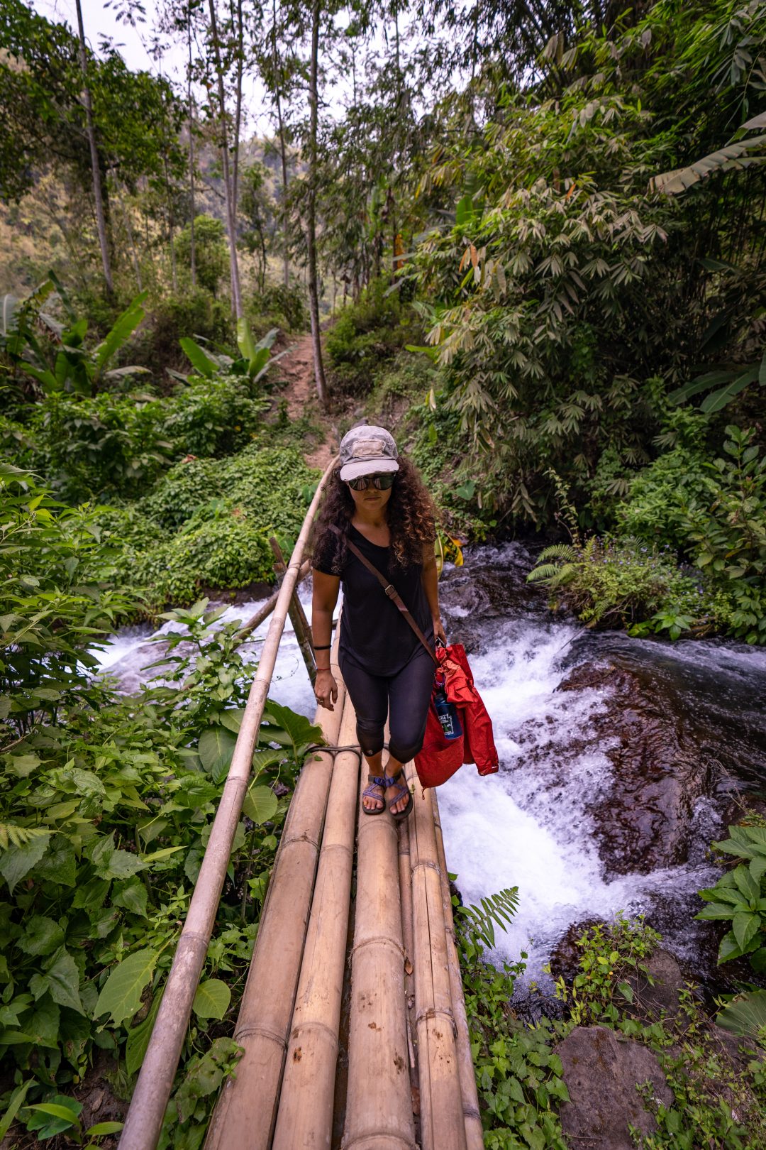 Leave a Comment Cancel reply