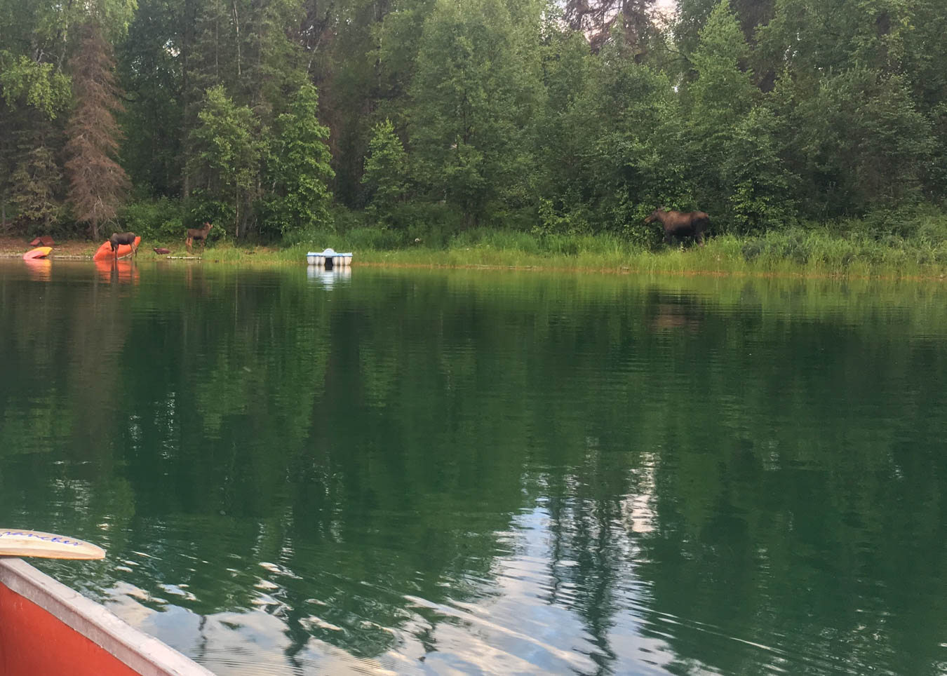 Top 11 Things To Do In Talkeetna - Andrea Kuuipo Abroad