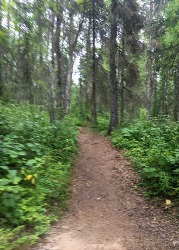 Top 11 Things To Do In Talkeetna - Andrea Kuuipo Abroad