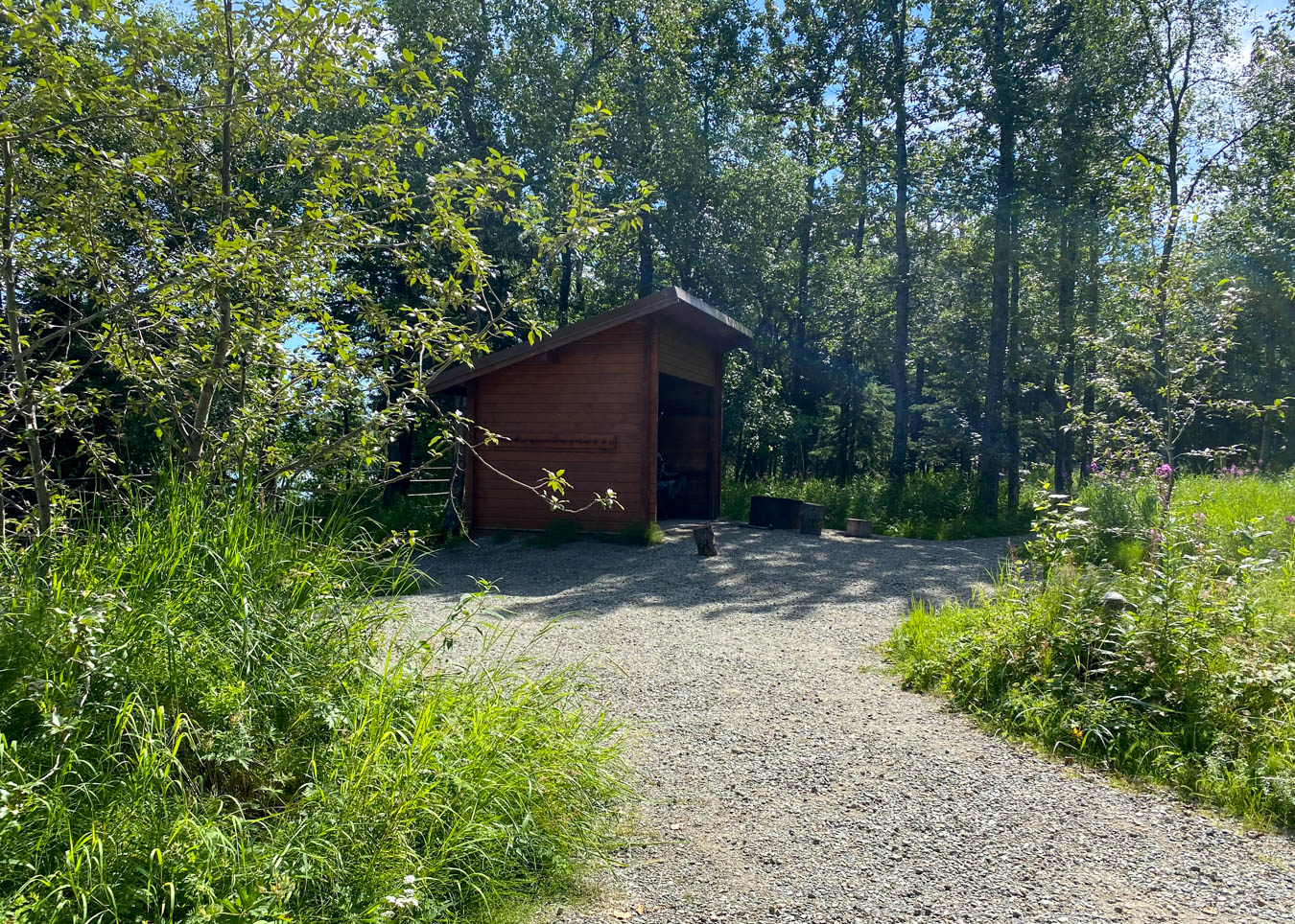 Brooks Camp Campground Review - Andrea Kuuipo Abroad