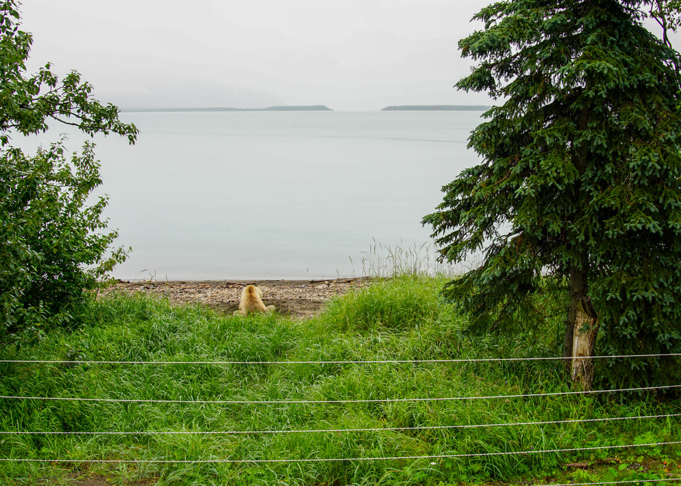 Everything You Need to Know to Visit Katmai National Park in 2025 ...