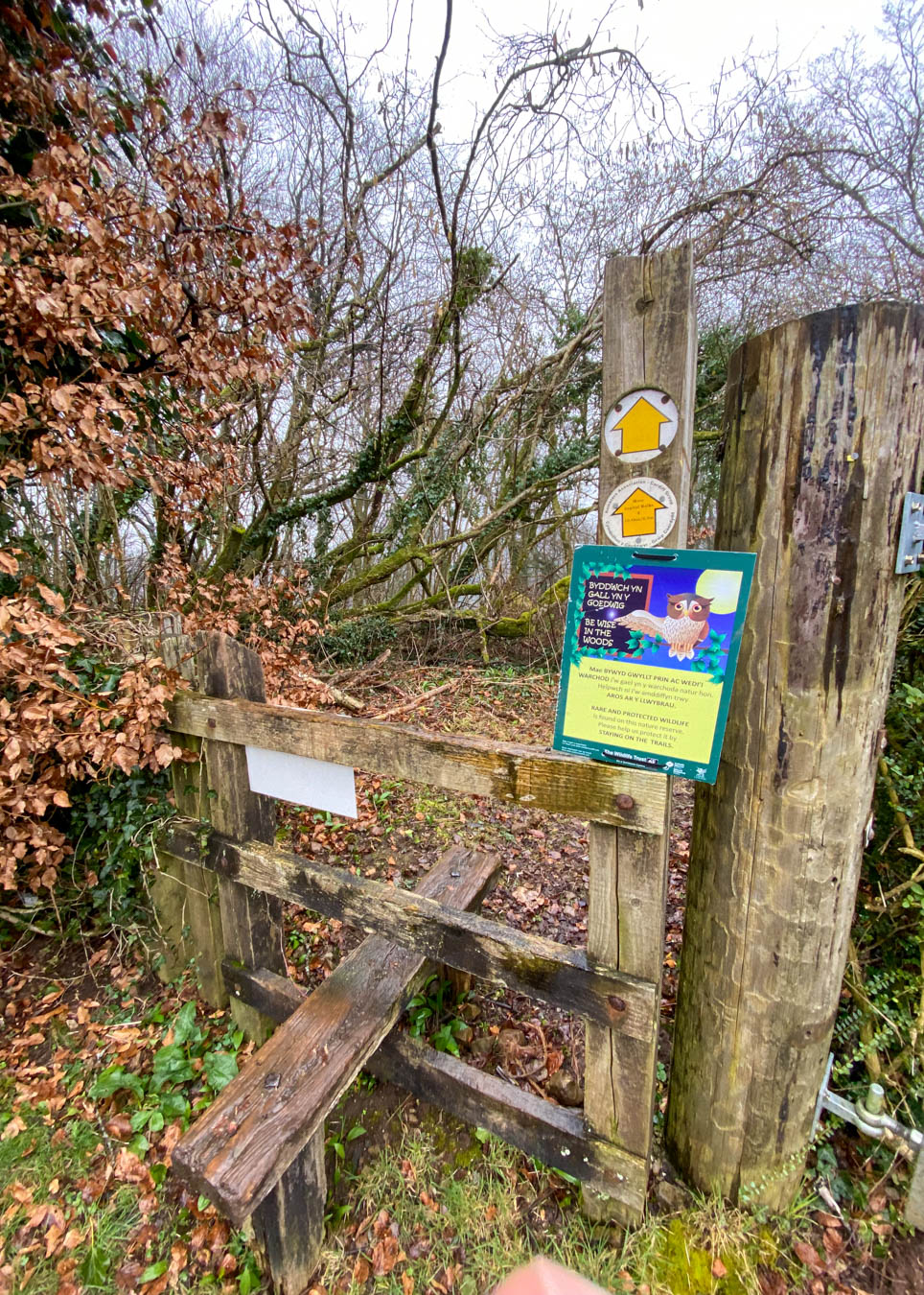 Hike Castell Coch to Caerphilly Castle in Wales - Andrea Kuuipo Abroad