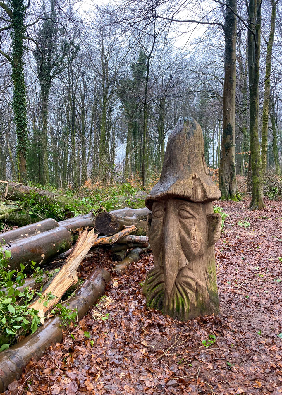 Hike Castell Coch to Caerphilly Castle in Wales - Andrea Kuuipo Abroad