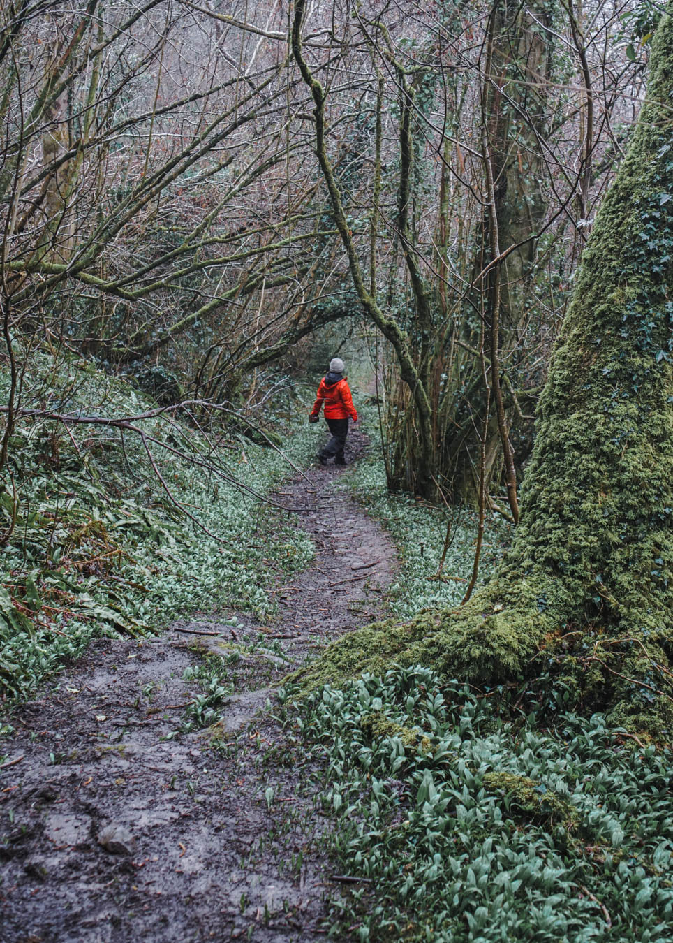 Hike Castell Coch to Caerphilly Castle in Wales - Andrea Kuuipo Abroad