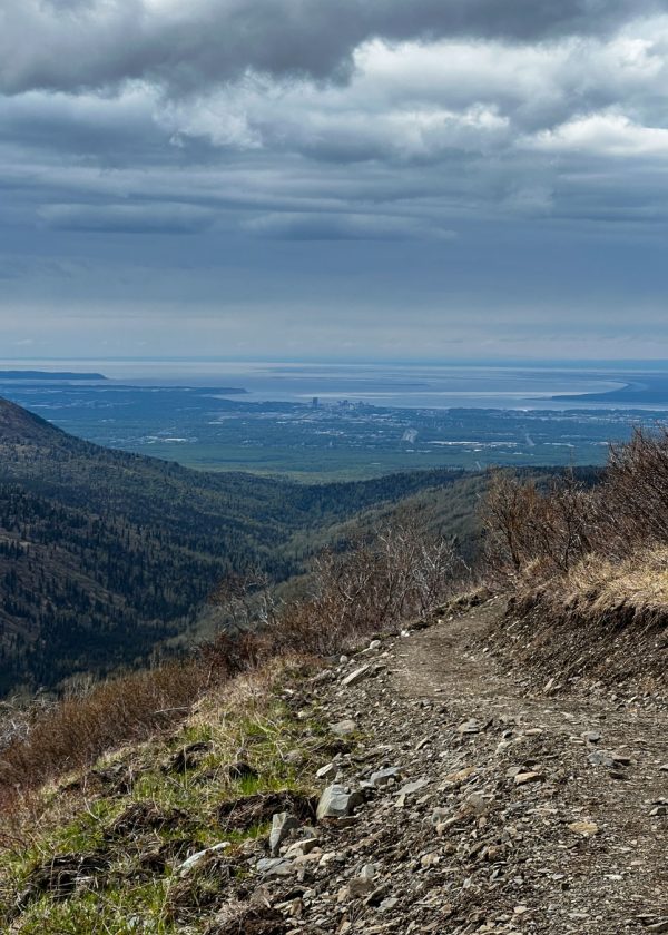 Hike Muktuk Marston Trail to Rendezvous Ridge Loop - Andrea Kuuipo Abroad