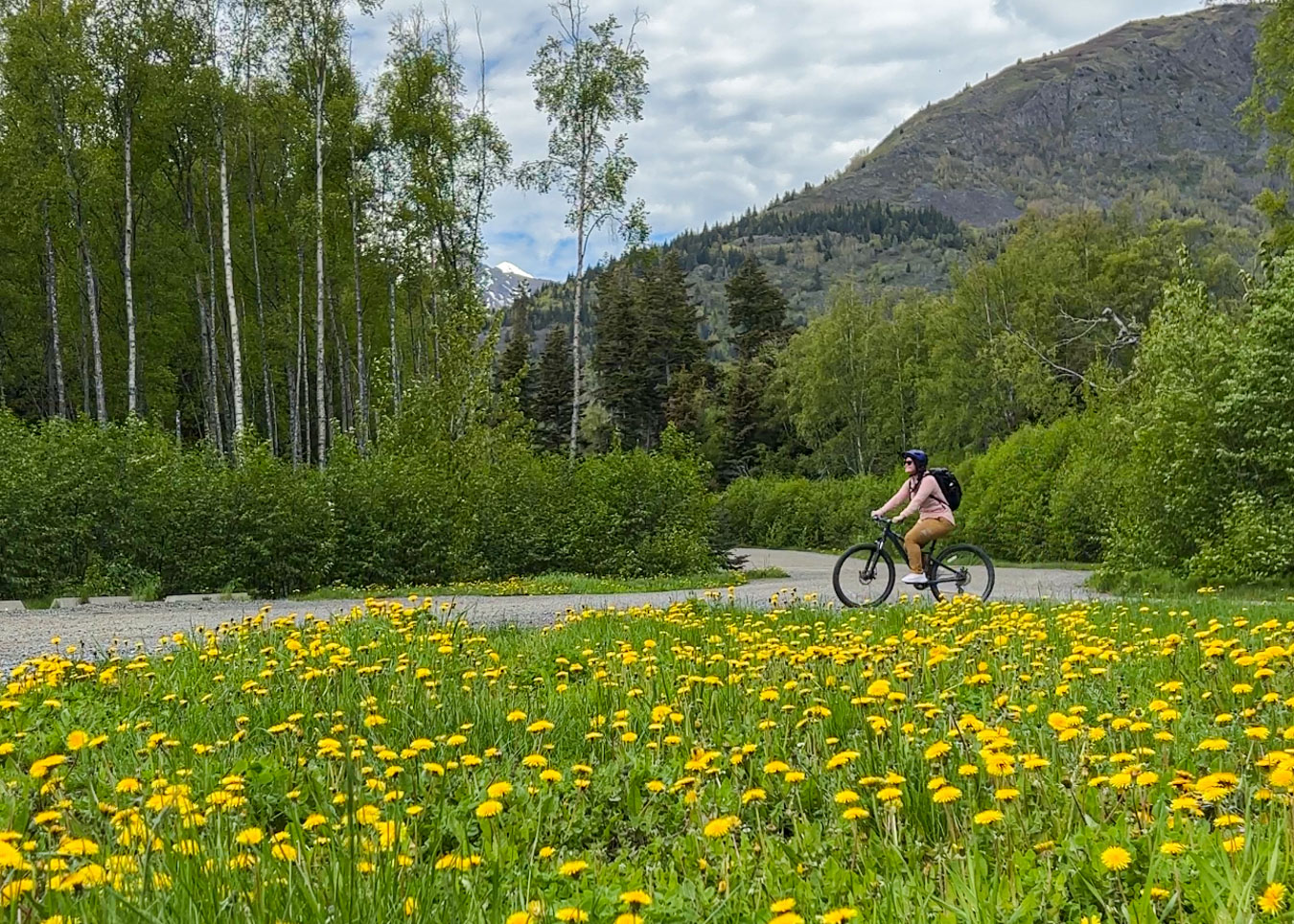 Bike Bird to Gird Trail: Plan Your Ride