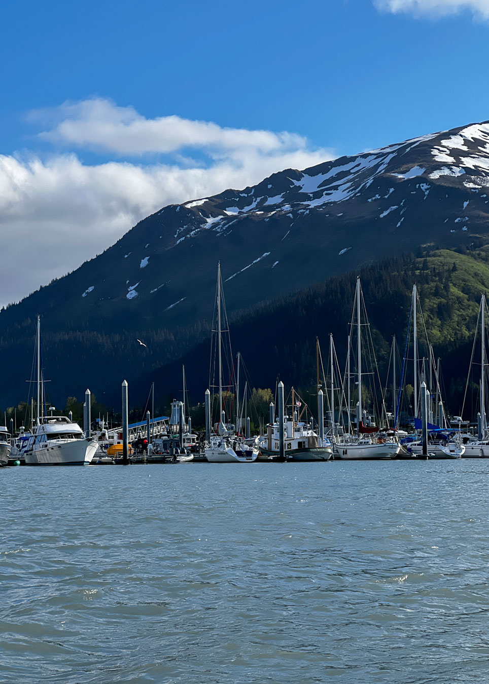 Kayaking Bear Glacier Lagoon: See Impressive Icebergs in Alaska