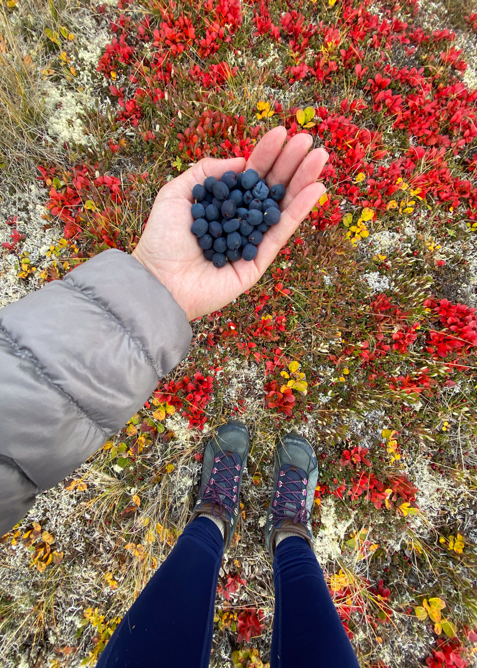 Alaska in September: Weather, Things to Do, and What to Wear - Andrea ...