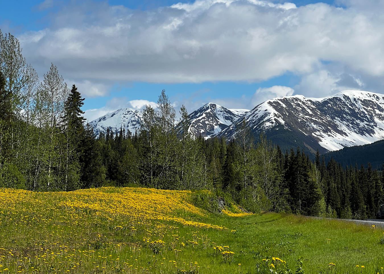 Visit Alaska in June: Best Things to Do This Summer - Andrea Kuuipo Abroad